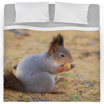 Squirrel Comforters, Duvets, Sheets & Sets | Personalized