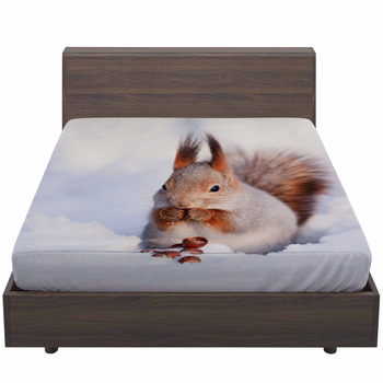 Squirrel Comforters, Duvets, Sheets & Sets | Personalized
