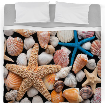Seashell Comforters, Duvets, Sheets & Sets | Personalized