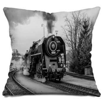 Train Throw Pillows, & Shams