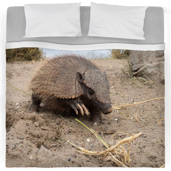 Armadillo Comforters, Duvets, Sheets & Sets | Personalized