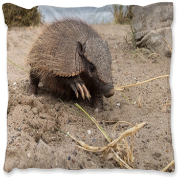 Armadillo Comforters, Duvets, Sheets & Sets | Personalized