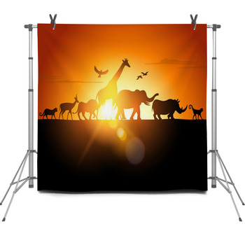 Safari Photo Backdrops | Available in nearly ANY Custom Sizes