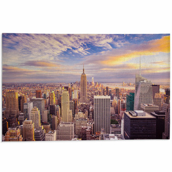 New york Area Rugs & Floor Mats