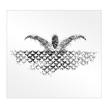 Swimming Wall Decor | Murals | Tapestry | Posters | Custom Sizes
