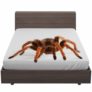 Spider Comforters, Duvets, Sheets & Sets | Personalized