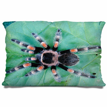 Spider Comforters, Duvets, Sheets & Sets | Personalized