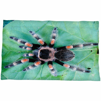 Spider Comforters, Duvets, Sheets & Sets | Personalized