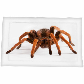Spider Comforters, Duvets, Sheets & Sets | Personalized
