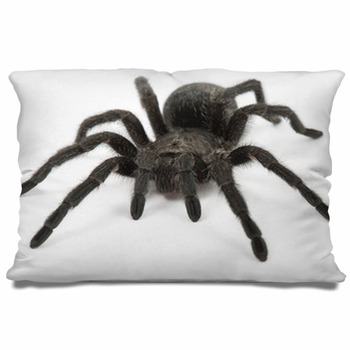 Spider Comforters, Duvets, Sheets & Sets | Personalized