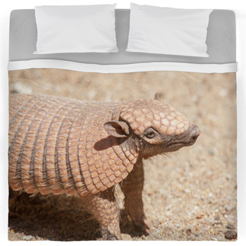 Armadillo Comforters, Duvets, Sheets & Sets | Personalized