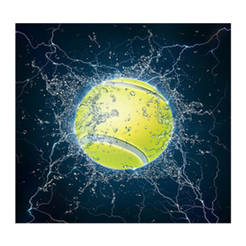 Tennis Wall Decor in Canvas, Murals, Tapestries, Posters & More