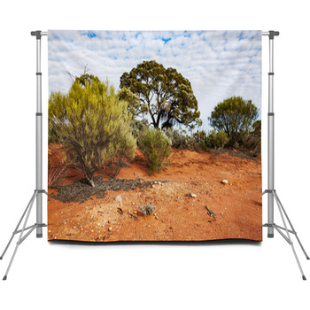 Australia Photographer Backdrops | Available in nearly ANY Custom Sizes