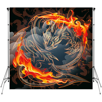 Dragon Photographer Backdrops | Available in Ultra Large Custom Sizes