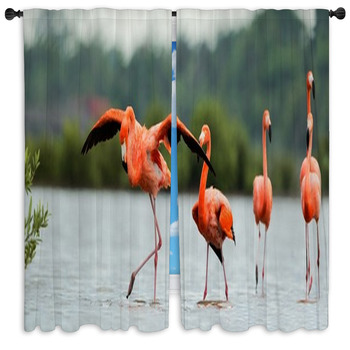 Flamingo Drapes & Window Treatments | Black Out | Custom Sizes
