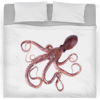 Octopus Bedding | Comforters, Duvet Covers, Sheets & Bed Sets ...