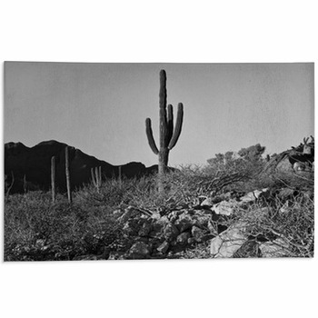 Cactus Rugs & Custom Size Floor Mats