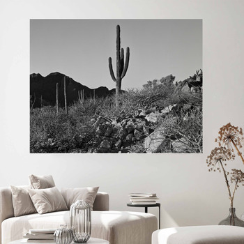 Cactus Wall Decor in Canvas, Murals, Tapestries, Posters & More