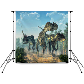 Dinosaur Photo Backdrops | Available in Very Large Custom Sizes