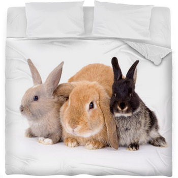 Bunny Fleece Blanket Throws | Free Personalization