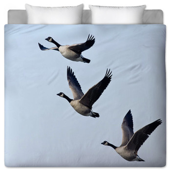 Goose Comforters, Duvets, Sheets & Sets | Custom