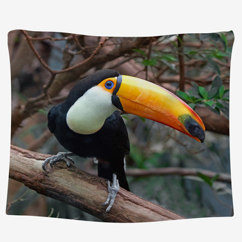 Toucan Custom Size | Available in nearly ANY Custom Sizes