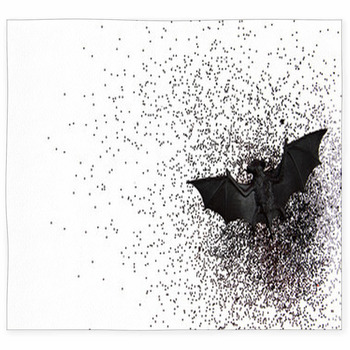 Bat Rugs & Custom Size Floor Mats