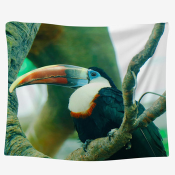 Toucan Custom Size | Available in nearly ANY Custom Sizes
