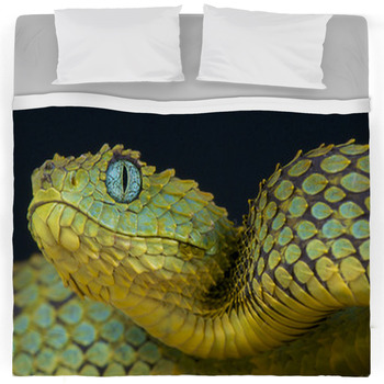 Snake Comforters, Duvets, Sheets & Sets | Custom