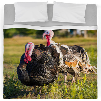 Thanksgiving Comforters, Duvets, Sheets & Sets | Custom
