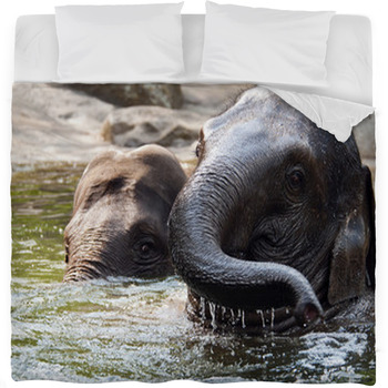 Elephant Comforters, Duvets, Sheets & Sets | Personalized