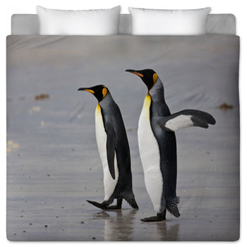 Penguin Comforters, Duvets, Sheets & Sets | Custom