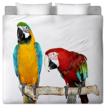 Parrot Comforters, Duvets, Sheets & Sets | Personalized