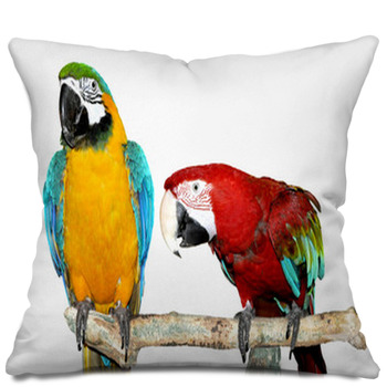 Parrot Throw Pillows, Cases, & Shams