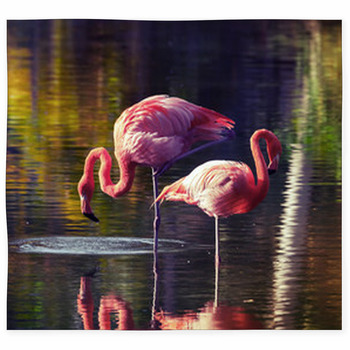 Flamingo Rugs & Custom Size Floor Mats