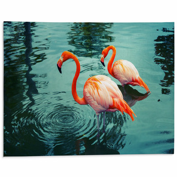 Flamingo Rugs & Custom Size Floor Mats