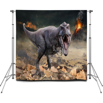 Dinosaur Photo Backdrops | Available in Very Large Custom Sizes