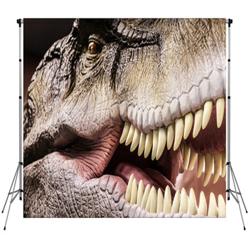 Dinosaur Photo Backdrops | Available in Very Large Custom Sizes