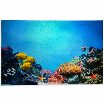Ocean Rugs & Custom Size Floor Mats