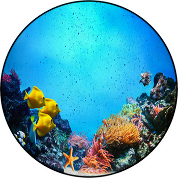 Ocean Rugs & Custom Size Floor Mats