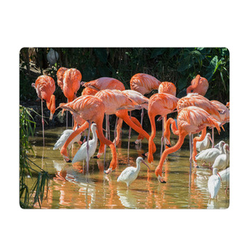 Flamingo Shower Curtains, Bath Mats, & Towels Personalize