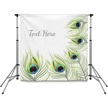 Peacock Photographer Backdrops | Available in nearly ANY Custom Sizes