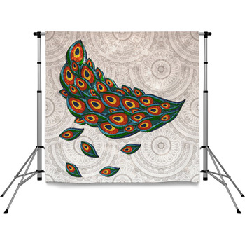 Peacock Photographer Backdrops | Available in nearly ANY Custom Sizes