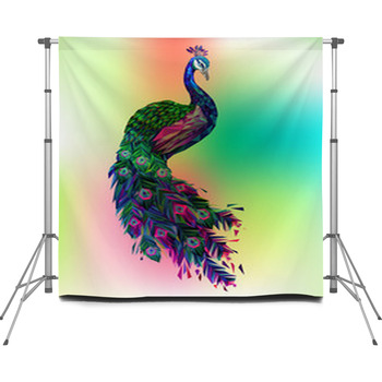 Peacock Photographer Backdrops | Available in nearly ANY Custom Sizes