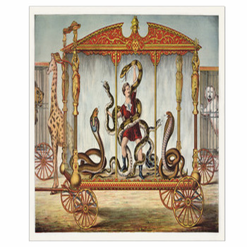 Circus Wall Decor in Canvas, Murals, Tapestries, Posters & More