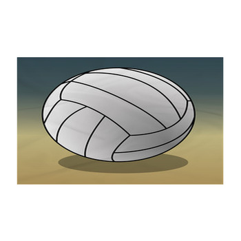 Volleyball Fabric by the Yard | Available in Super Large Custom Sizes