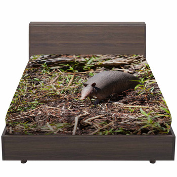 Armadillo Comforters, Duvets, Sheets & Sets | Personalized