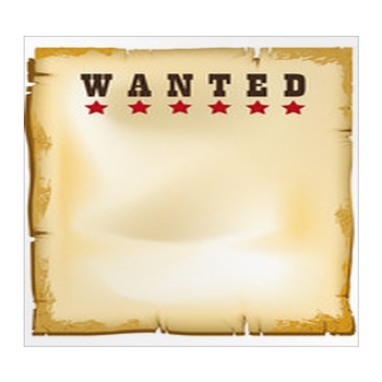 Cowboy Wall Decor | Murals | Tapestry | Posters | Custom Sizes