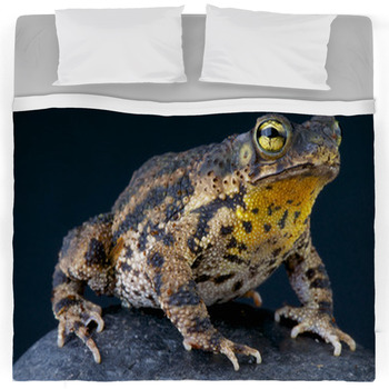 Frog Comforters, Duvets, Sheets & Sets | Custom