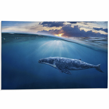 Whale Area Rugs & Custom Size Floor Mats